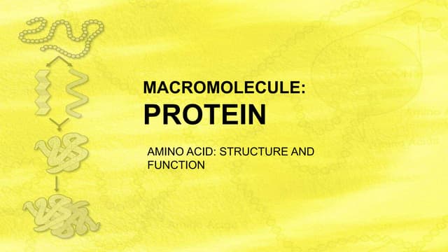 Lesson 11 Proteins | PDF