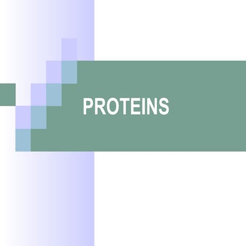 Protein | PPT