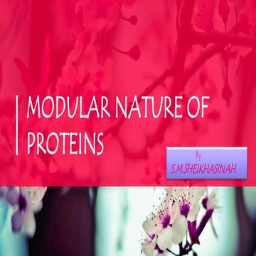 MODULAR NATURE OF PROTEINS | PPTX