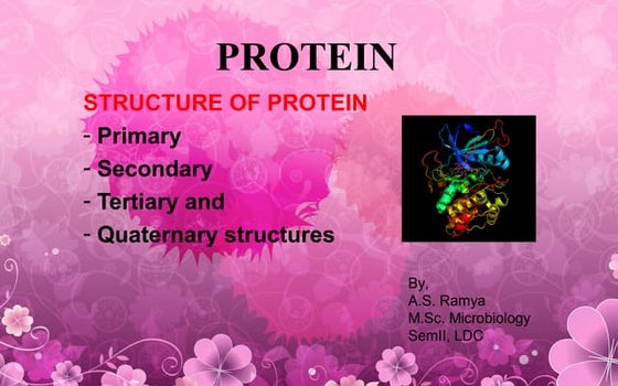 Proteins | PPT