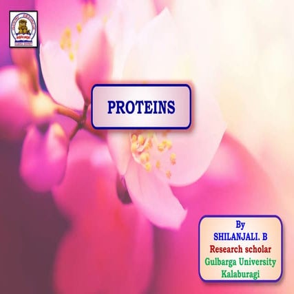 PROTEIN.pptx