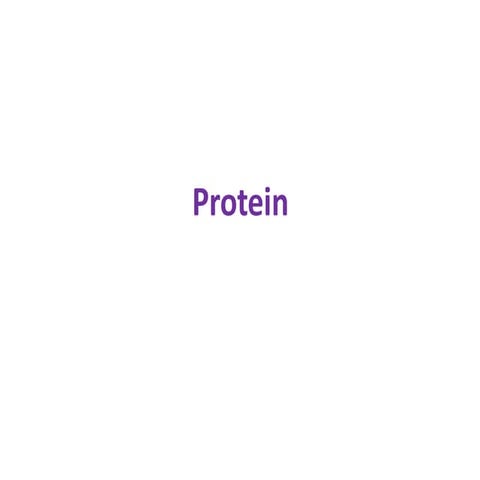 Protein.pdf