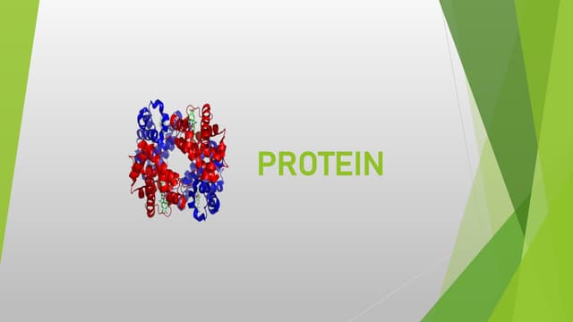 Proteins: Biochemistry | PPTX