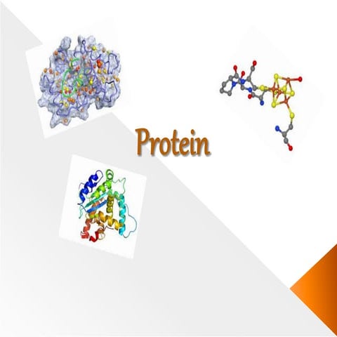 protein.pptx