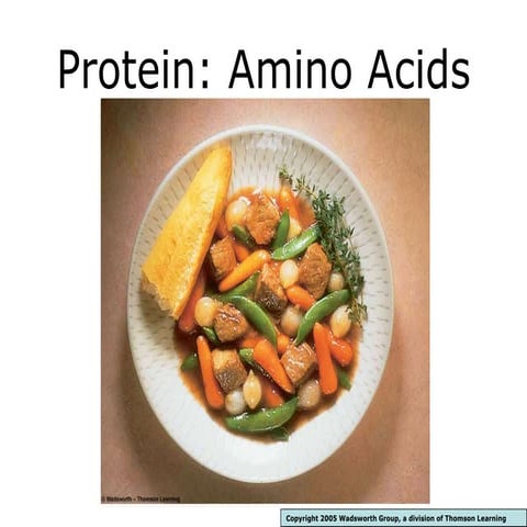 Protein.ppt