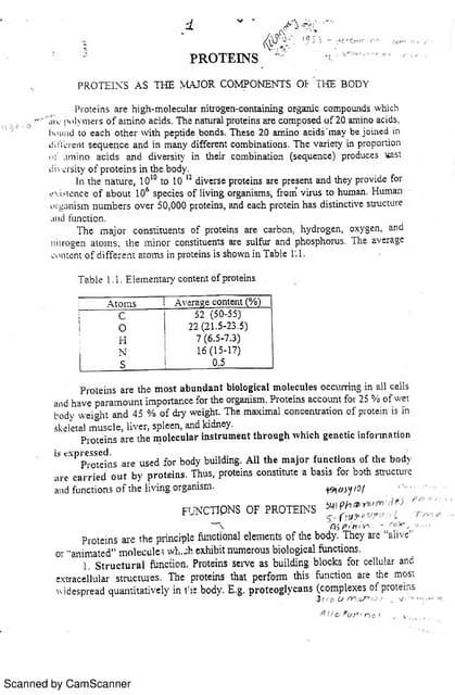 Amino acids and protein | PPT