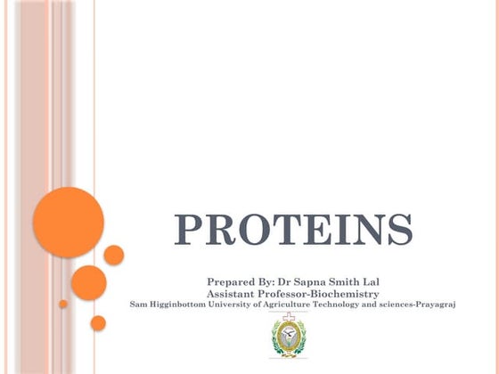 Catabolism Of Purine Nucleotides Ppt