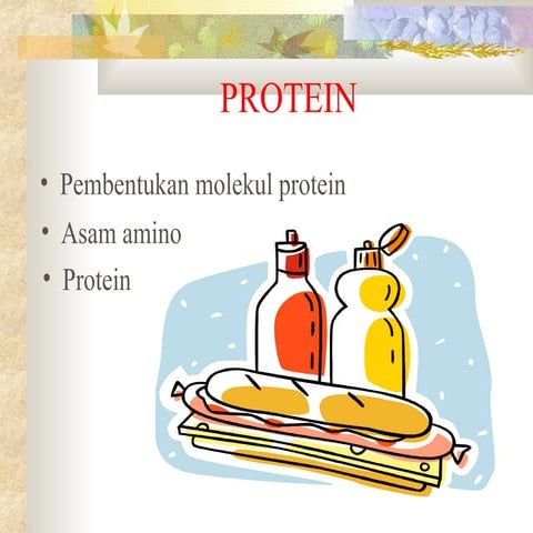 Protein adalah makromolekul yang terdiri dari rantai asam .ppt