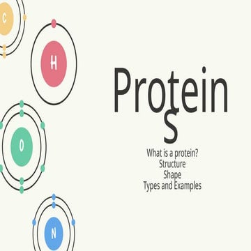 Biomolecule Protein Powerpoint Presentation.pptx