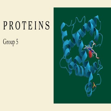 PROTEIN-AND-AMINO-ACIDS-PPT.p df | PPT