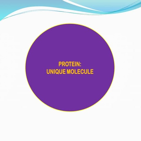 Protein-An overview | PDF