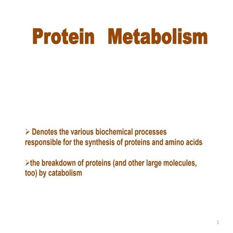 Protein-Metabolism.ppt | Chemistry | Science