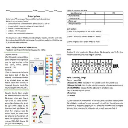 Protein Synthesis Activity Worksheet 1955332 More Protein Synthesis