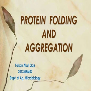 Protein folding and aggregation | PPTX