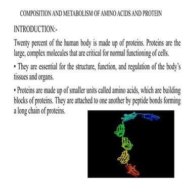 Proteins: Biochemistry | PPTX