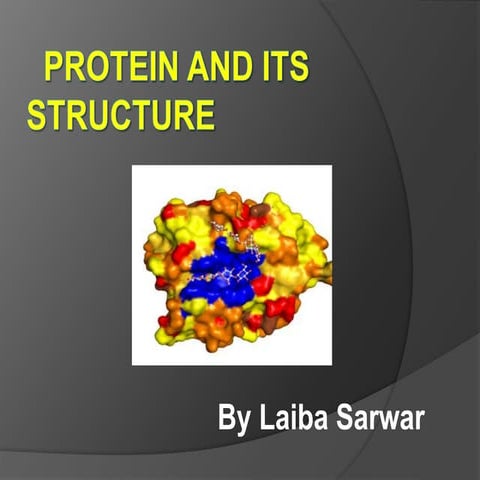 Protein and its structure and function | PPT