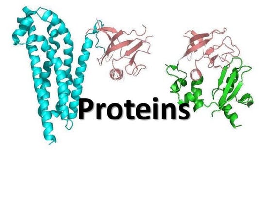 Biochemistry lecture notes proteins | PDF | Chemistry | Science
