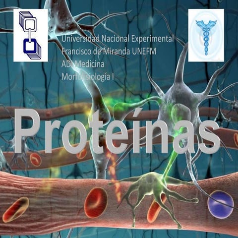 Ferritina_estructura y funcion | PDF