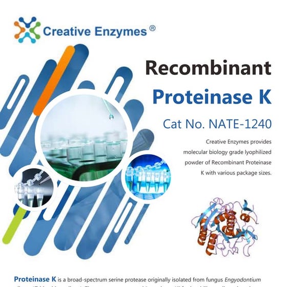 Your Guide to Recombinant human hyaluronidase ph20 | PDF