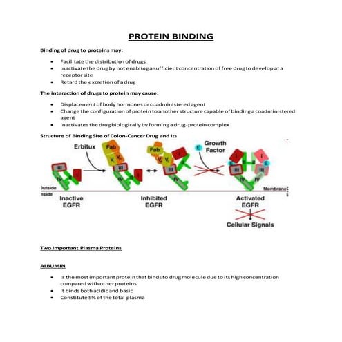 Protein binding | DOCX