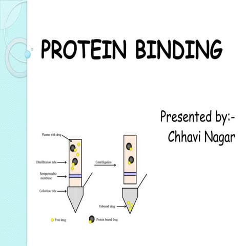 PROTEIN BINDING (3) (2).pdf
