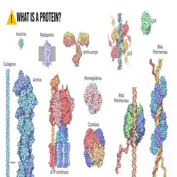 An Overview to Protein bioinformatics | PDF