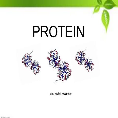 METABOLISME PROTEIN | PPT