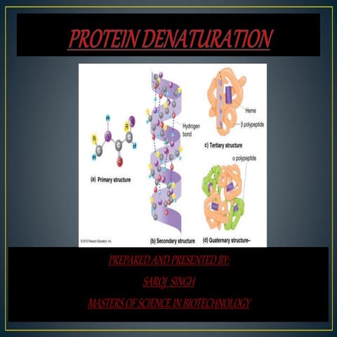 Protein denaturation | PPTX
