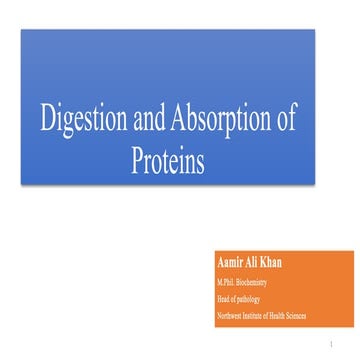 Digestion and absorption of proteins | PPSX