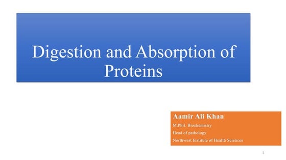 Digestion and absorption of proteins | PPSX | Digestive Disorders ...