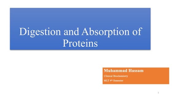 Digestion and absorption of proteins | PPSX | Digestive Disorders ...