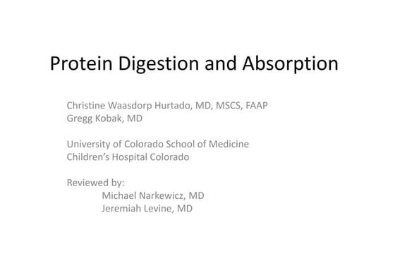 Digestion and absorption of proteins | PPSX | Digestive Disorders ...