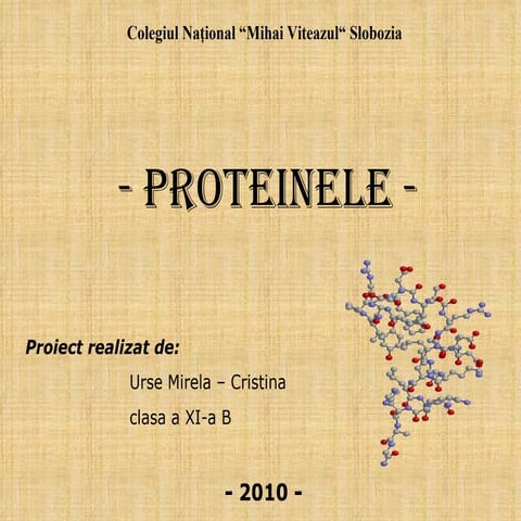 Proiect11B_Urse_Mirela_Cristina | PPT