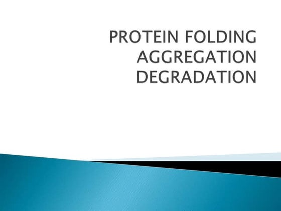 Forces that stablise protein structure | PPT