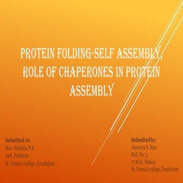 Protein Folding-Self Assembly & Role of Chaperones in Protein Assembly ...