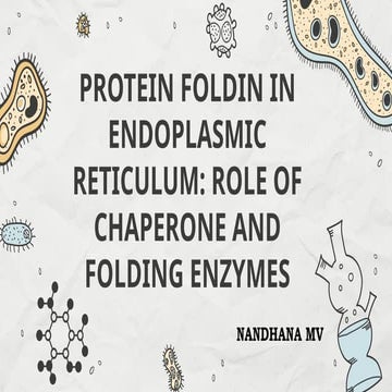 protein folding in ER.pptx ENZYMES AND CHAPERONS INVOLVED | PPTX
