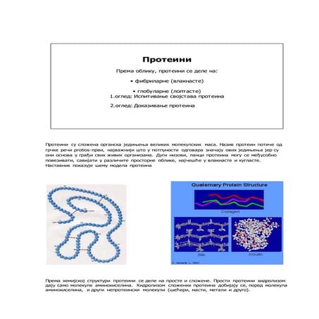 42. klinicka biohemija | PDF