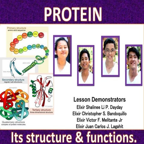 Protein; its functions | PPTX