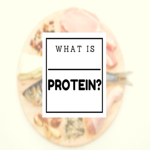 What is Protein? | PDF