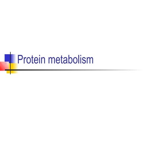 Protein metabolism | PPT