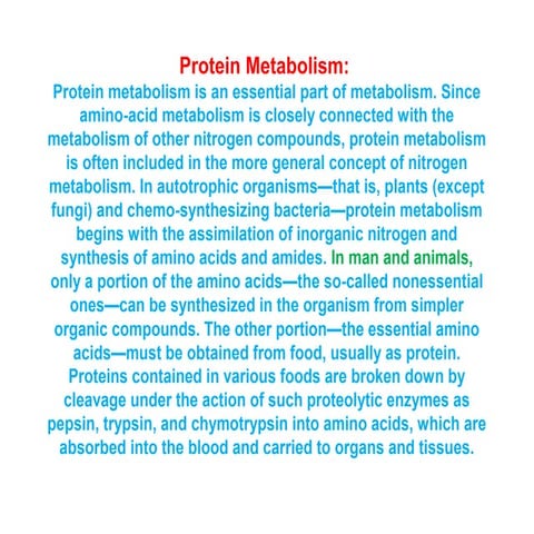 Protein metabolism | PPT