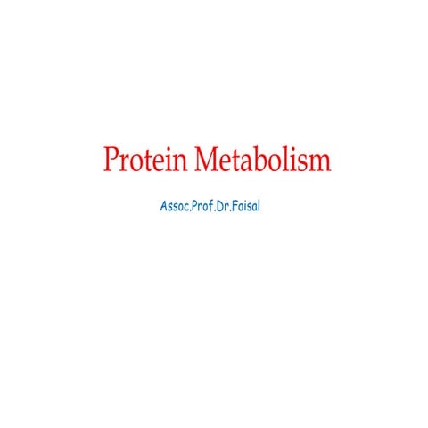 Protein metabolism.ppt