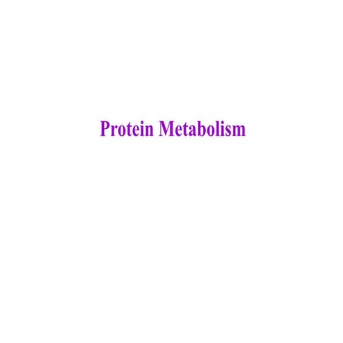 protein metabolism.pdf
