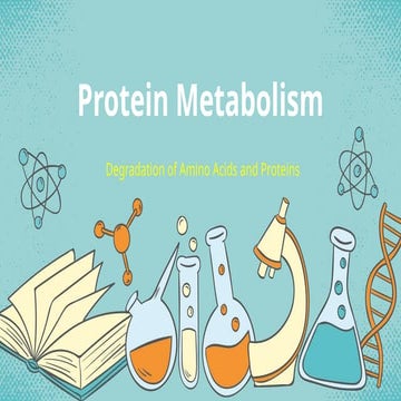 Protein Metabolism Presentation Final.pptx
