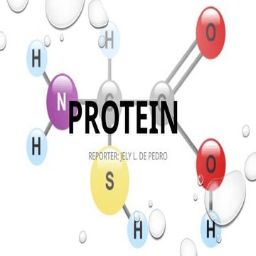 Protein_Presentations_PowerPoint Slides | PPTX