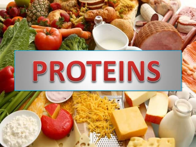 Protein; its functions | PPTX