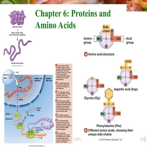 General biochemistry and math PROTEINS-2.ppt