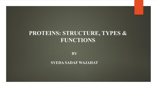 Lesson 11 Proteins | PDF