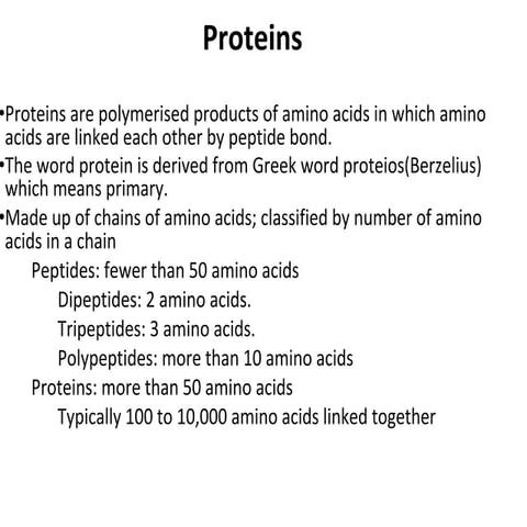 Lecture 1. Proteins.-1.doc