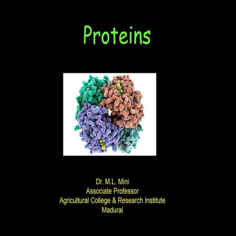 Proteins.ppt